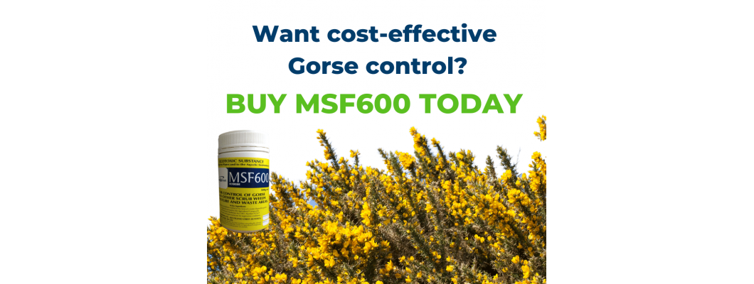 MEF600 for effective Gorse control