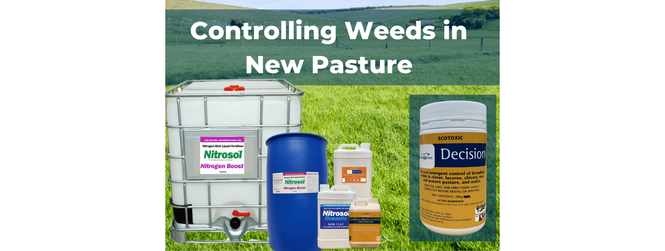 What Weedkillers to Use When Spraying Newly Sown Pasture