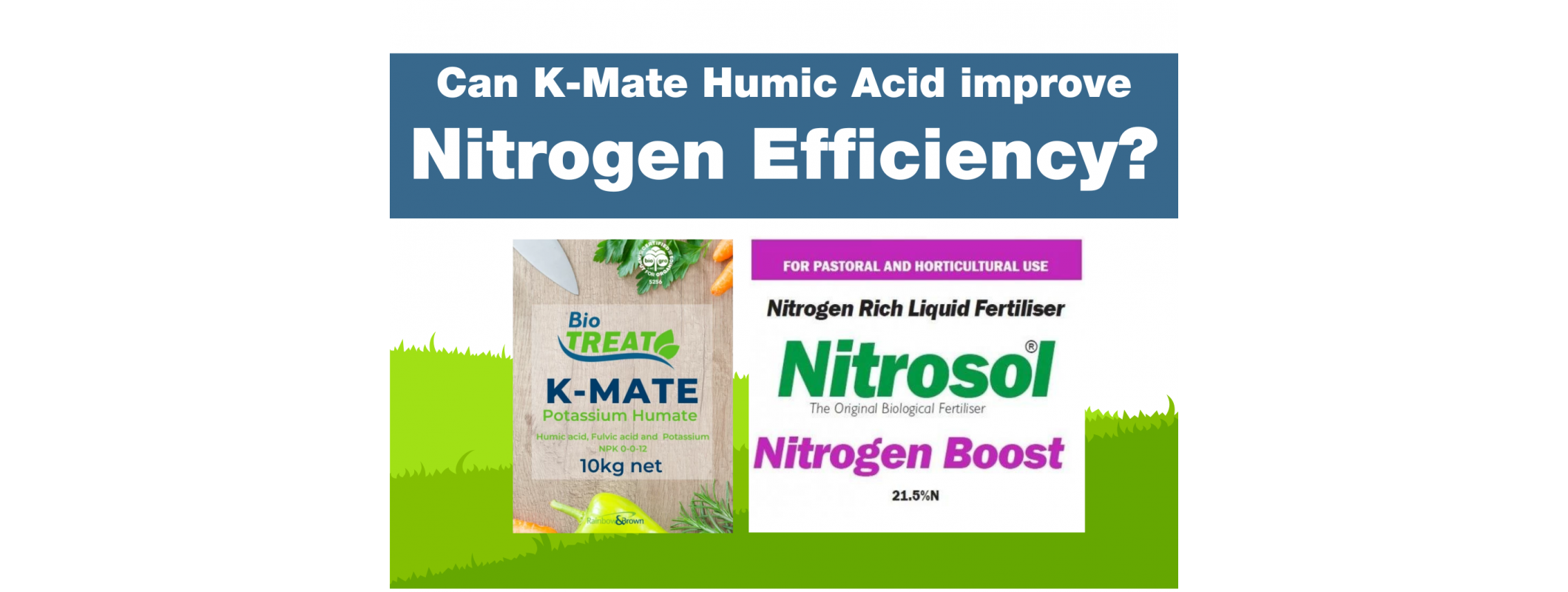 Can K-Mate Humic Acid improve Nitrogen Efficiency?