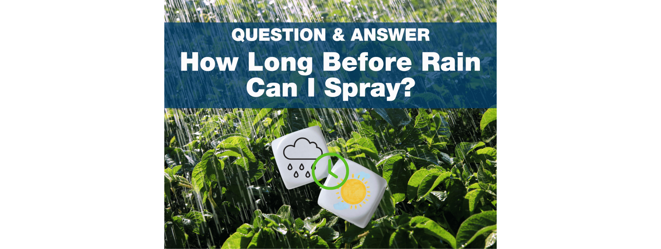 How Long Before Rain Can I Spray? - Rainfastness Guide for Herbicides
