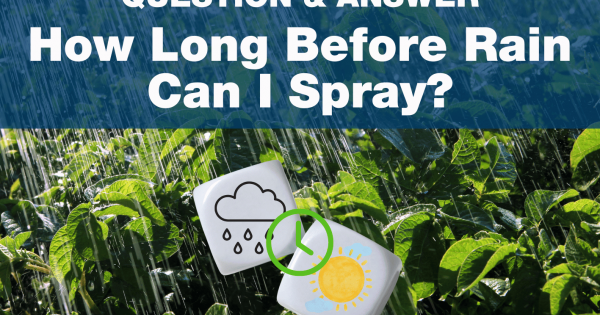 How Long Before Rain Can I Spray? - Rainfastness Guide for Herbicides