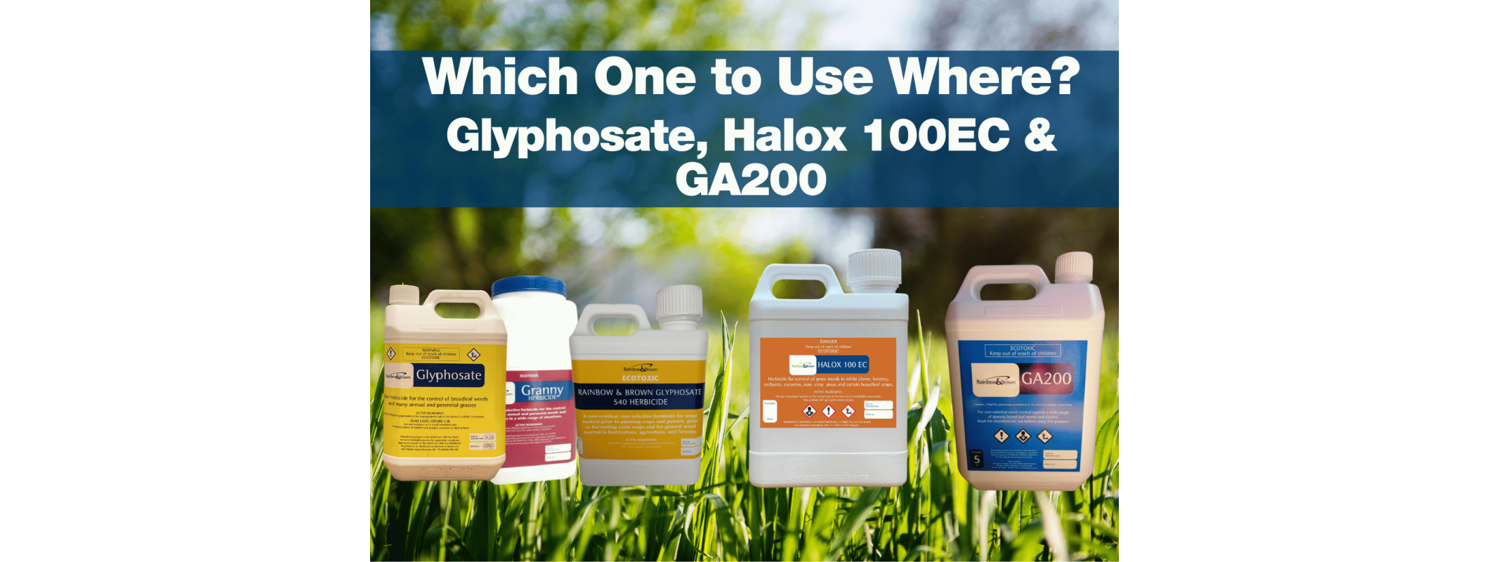 Which one to use? Glyphosate, Halox 100EC and GA200