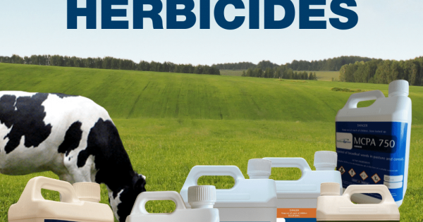 Selective Herbicide NZ - Selective Weed Killer