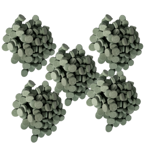 Slow Release Fertiliser NZ - Fertiliser Tablets - BioTreat