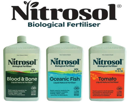 BUY NITROSOL FROM RAINBOW AND BROWN